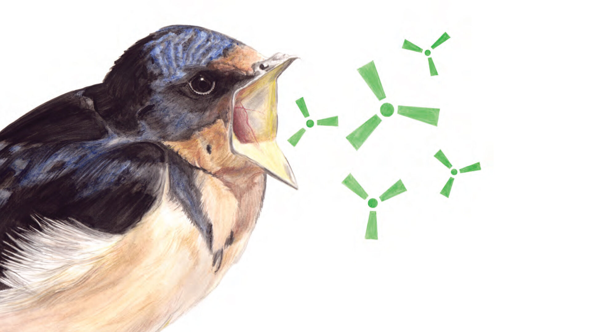 Sentinel Devices - Limn