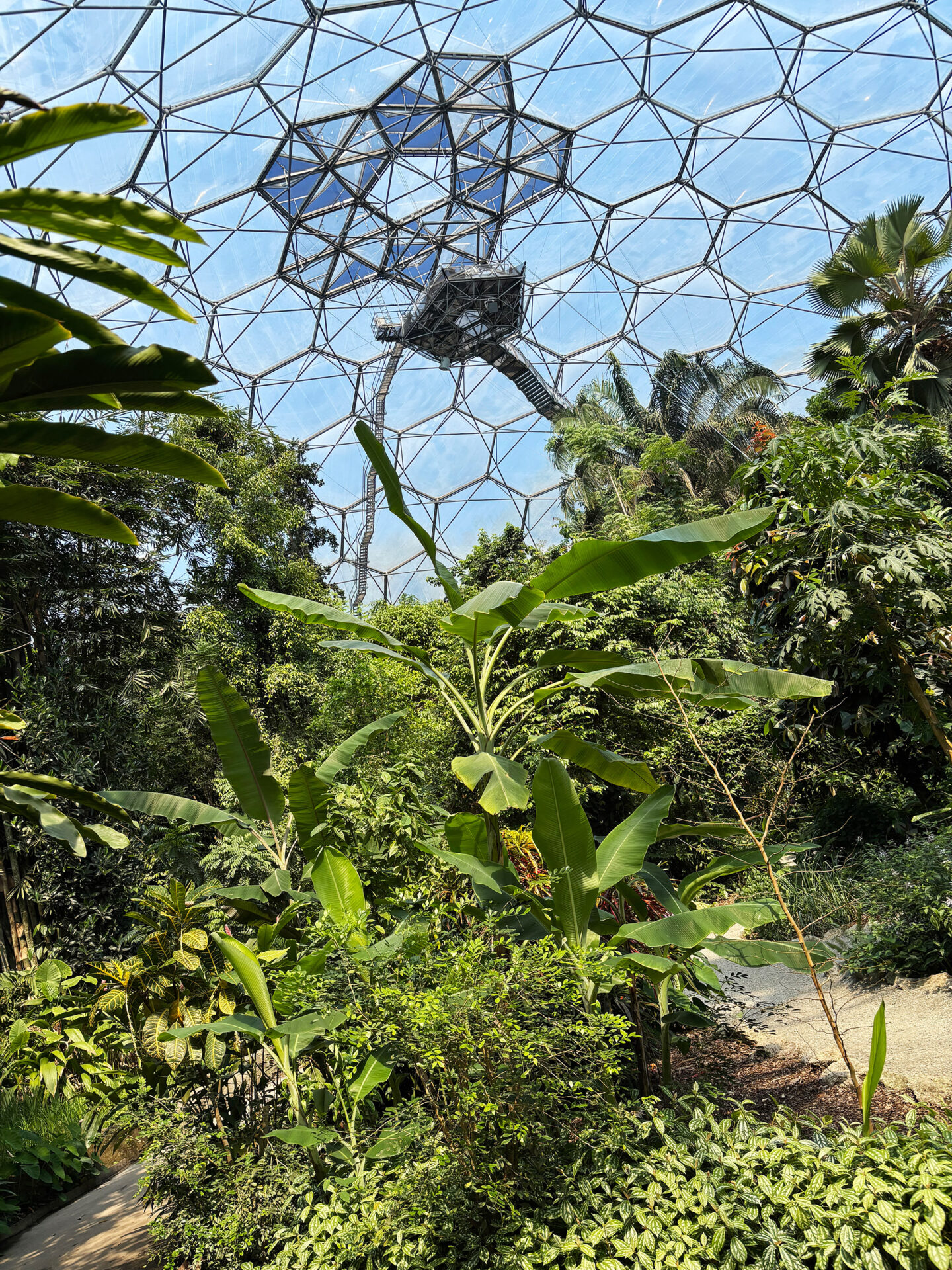 Preface: The Impossible Interior - Limn